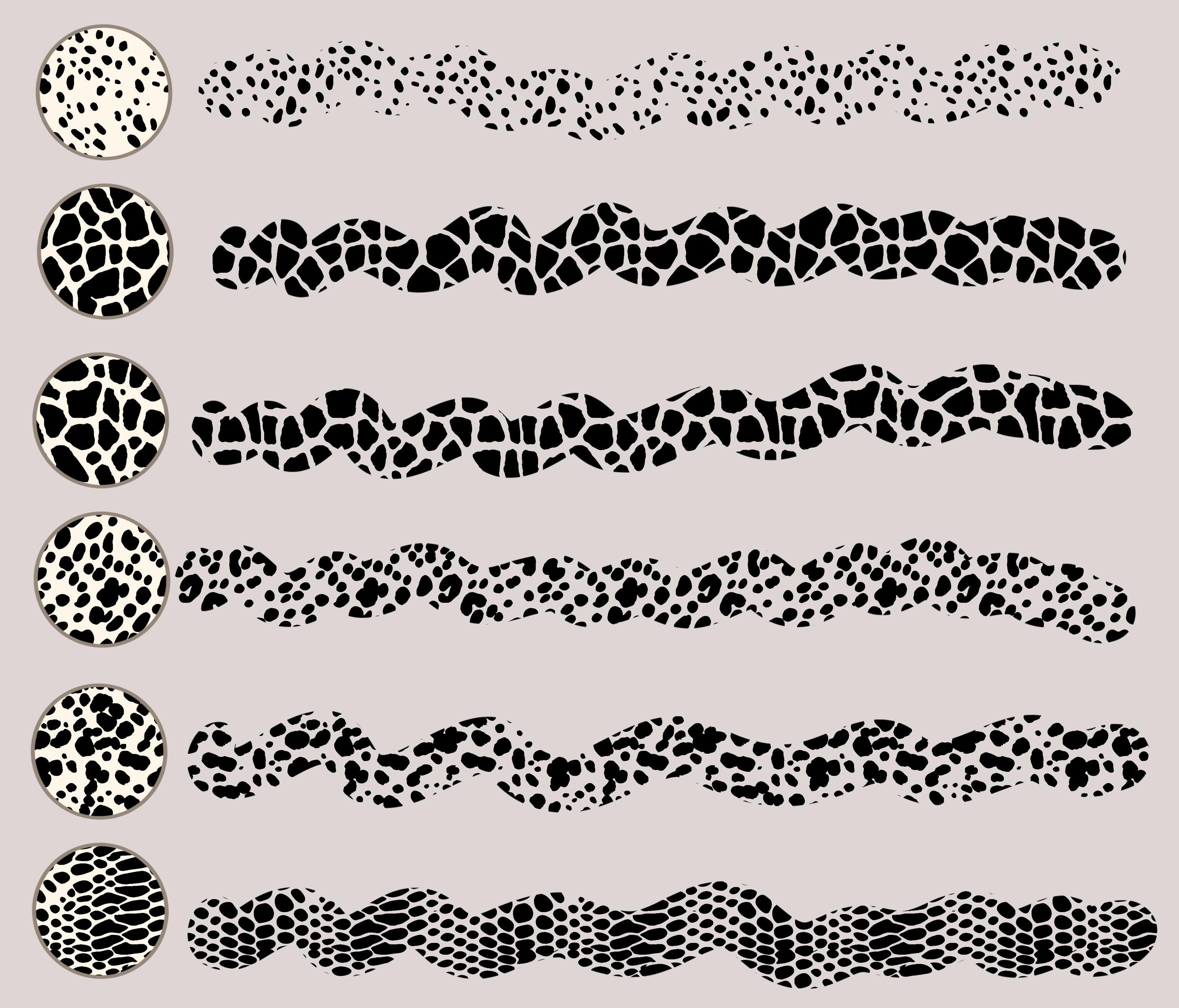 Animal Pattern Brush, Clip Studio Paint, Pattern Brush, Clip Studio ...
