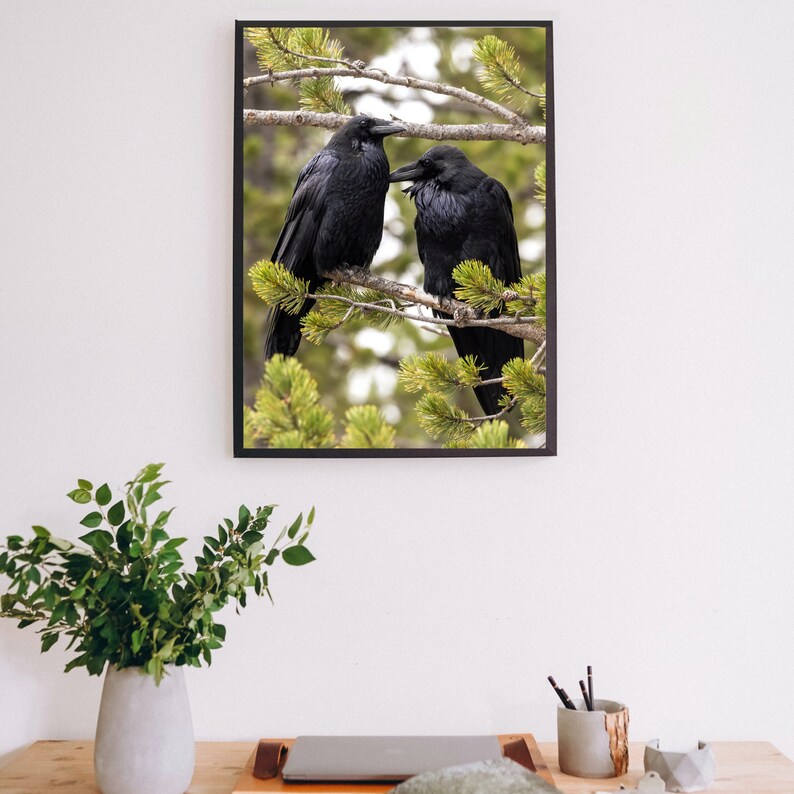 Raven Photo | Bird Photography | Two Ravens Print | Yellowstone ...