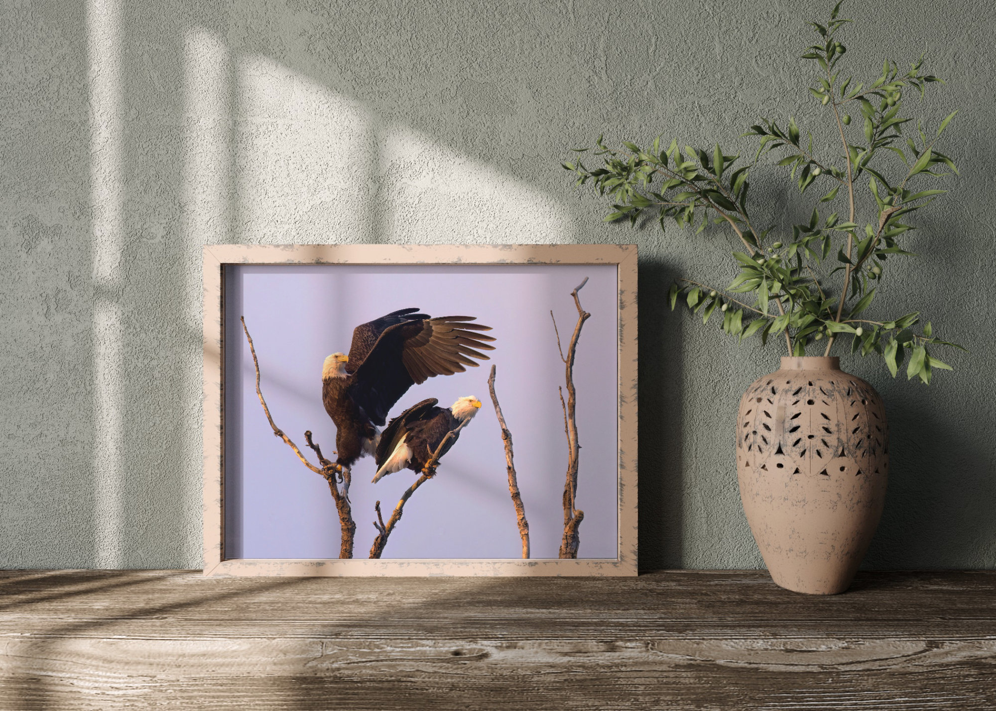 Bald Eagle Photograph Bird Photography Nature Pic Bird of Prey Poster ...