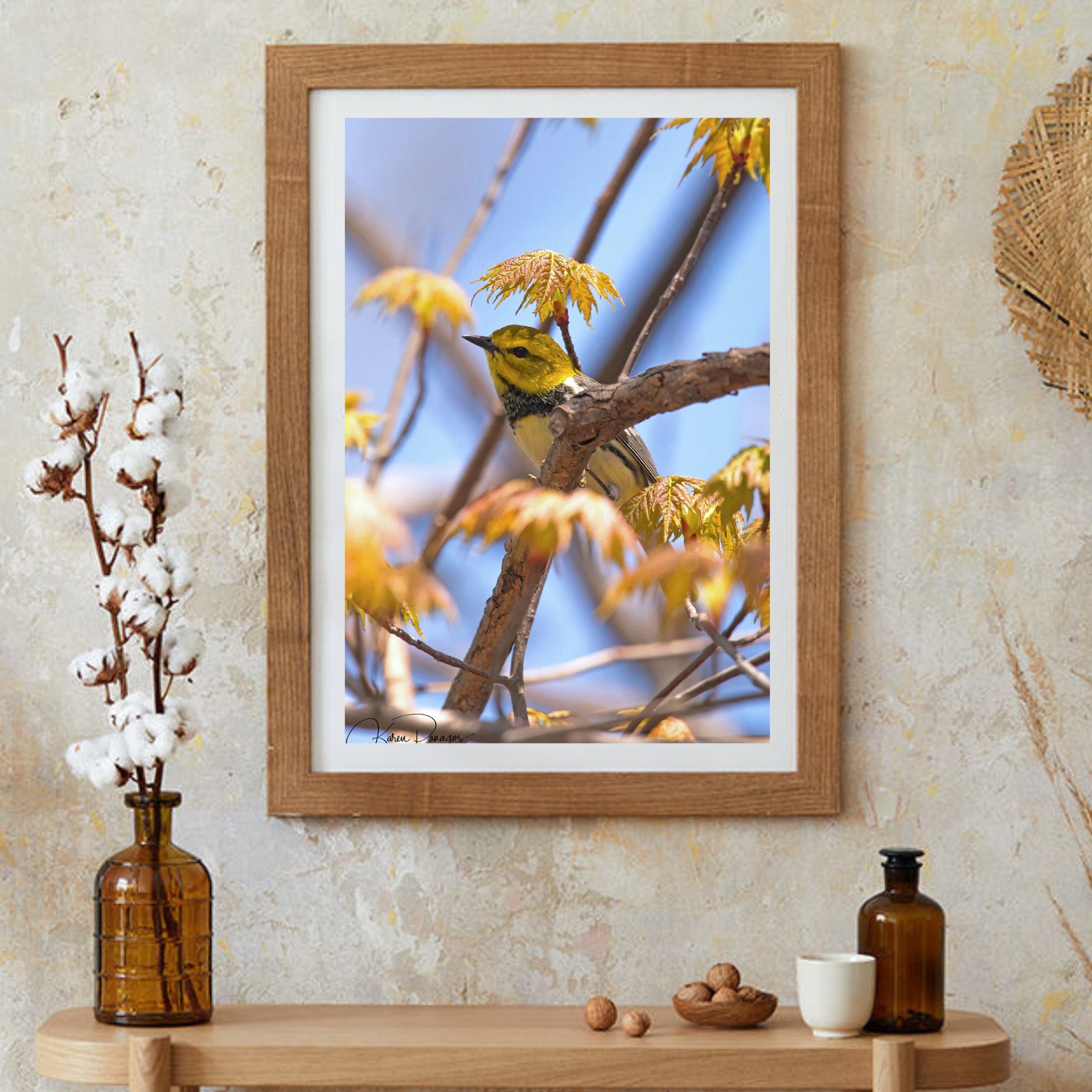 Warbler Print | Bird Photography | Black Throated Green Warbler ...
