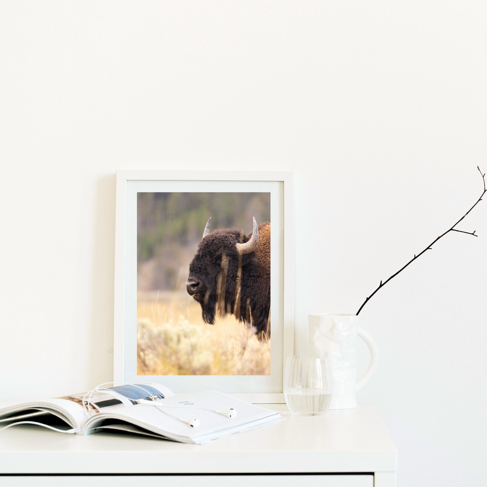 Bison Print | Black and White or Color | Buffalo Photograph ...