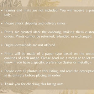 Red-tailed Hawk Photography Print, Bird of Prey Photo, Wildlife Prints ...