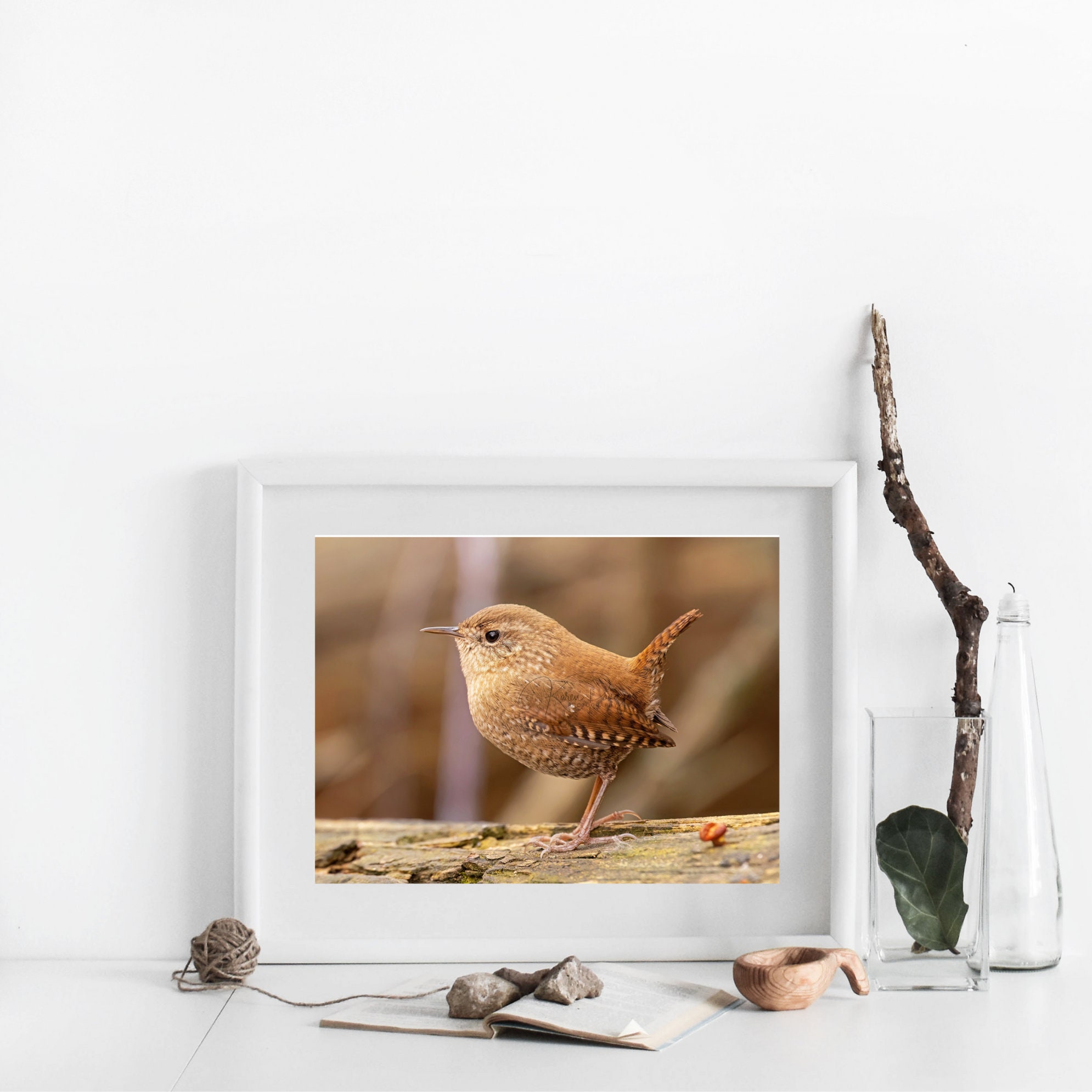 Little Wren Photo, Bird Photography, Winter Wren Print, Nature ...