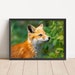 Red Fox Photo | Wildlife Print | Fox Kit | Baby Animal Picture | Nature ...