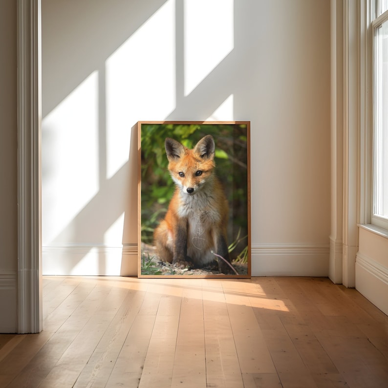 Red Fox Photo, Wildlife Photography, Baby Fox Puppy, Nature Wall Art ...