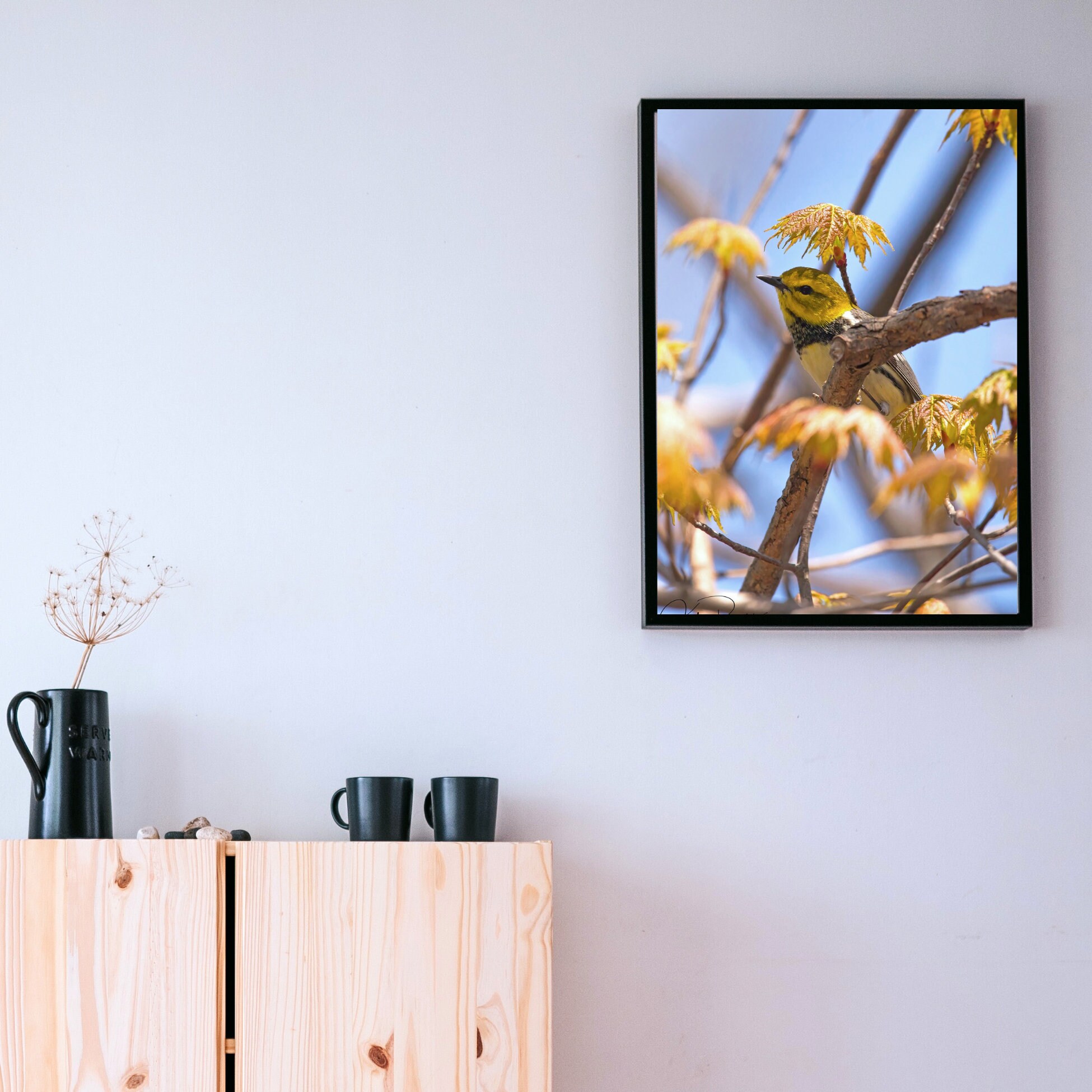 Warbler Print | Bird Photography | Black Throated Green Warbler ...
