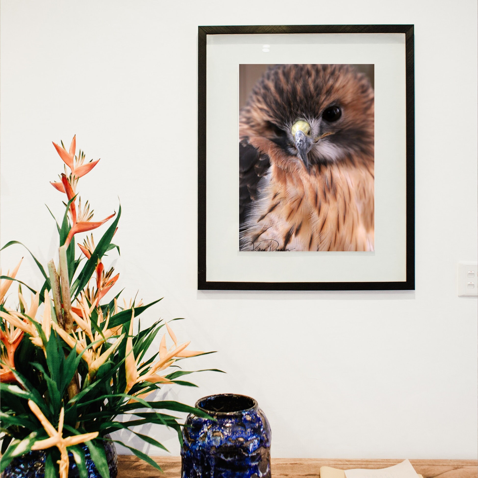 Red-tailed Hawk Photography Print, Bird of Prey Photo, Wildlife Prints ...