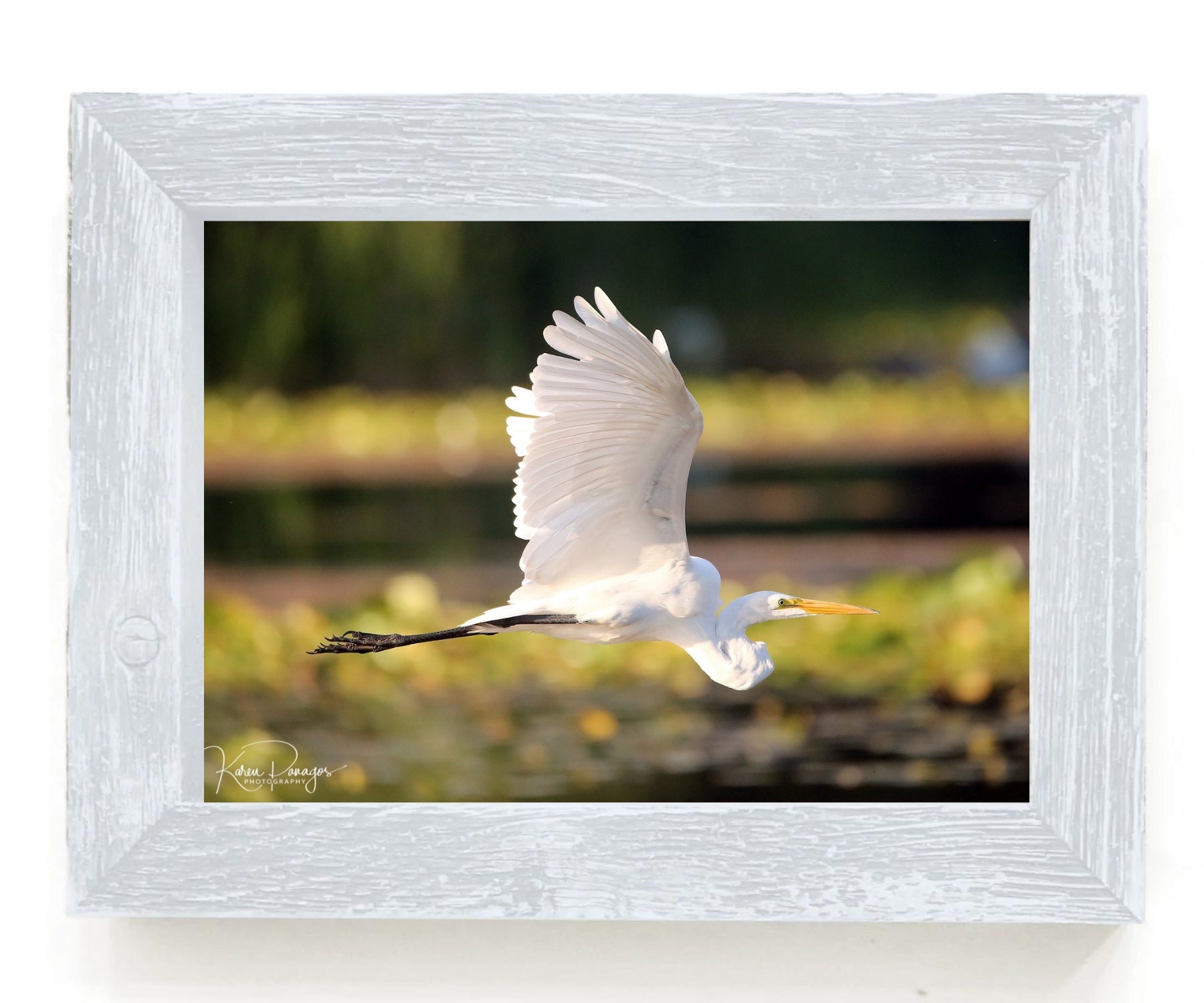 White Egret in Flight Photo, Michigan Coastal Decor - Etsy
