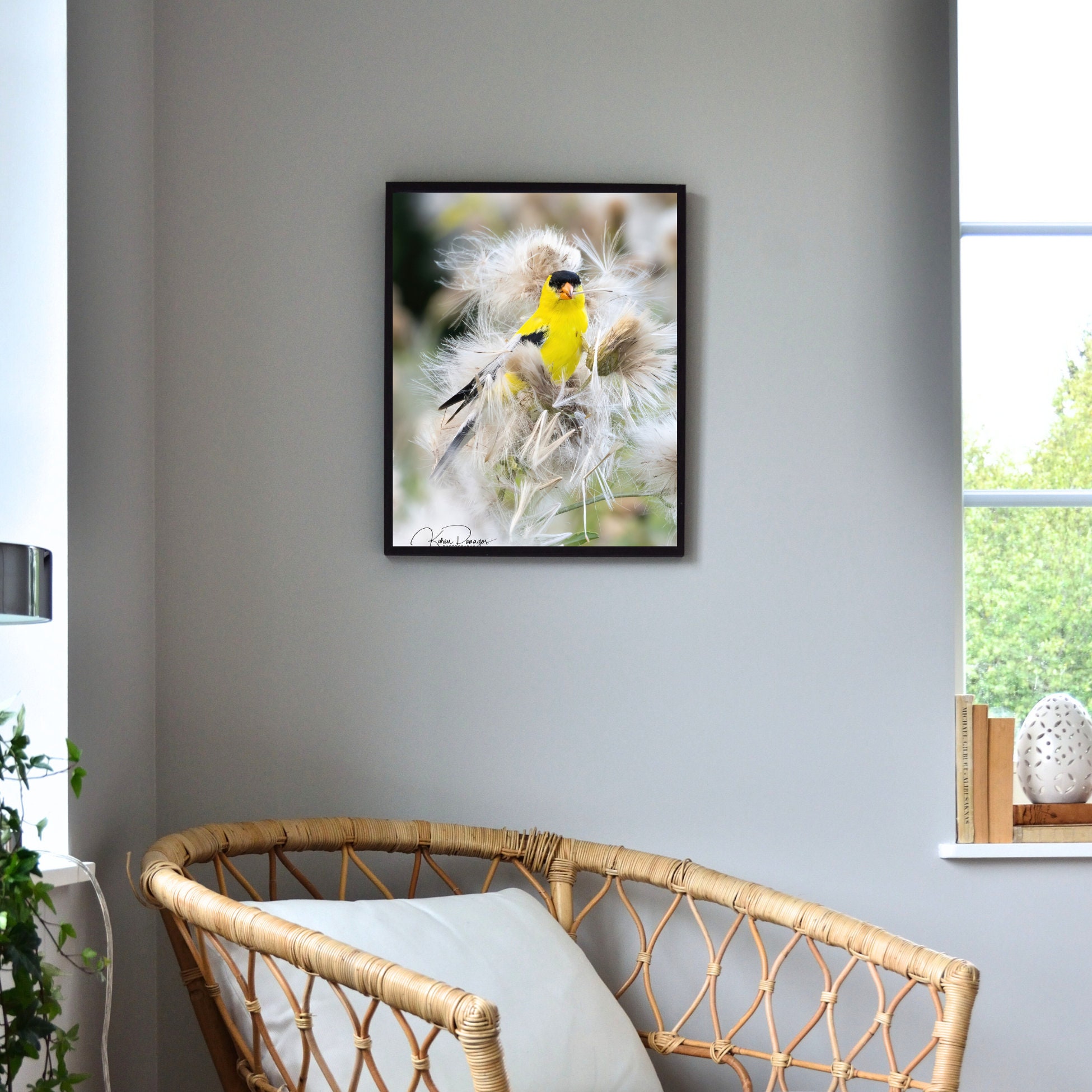 Gold Finch Print Ready to Hang Bird Photography Yellow Bird - Etsy