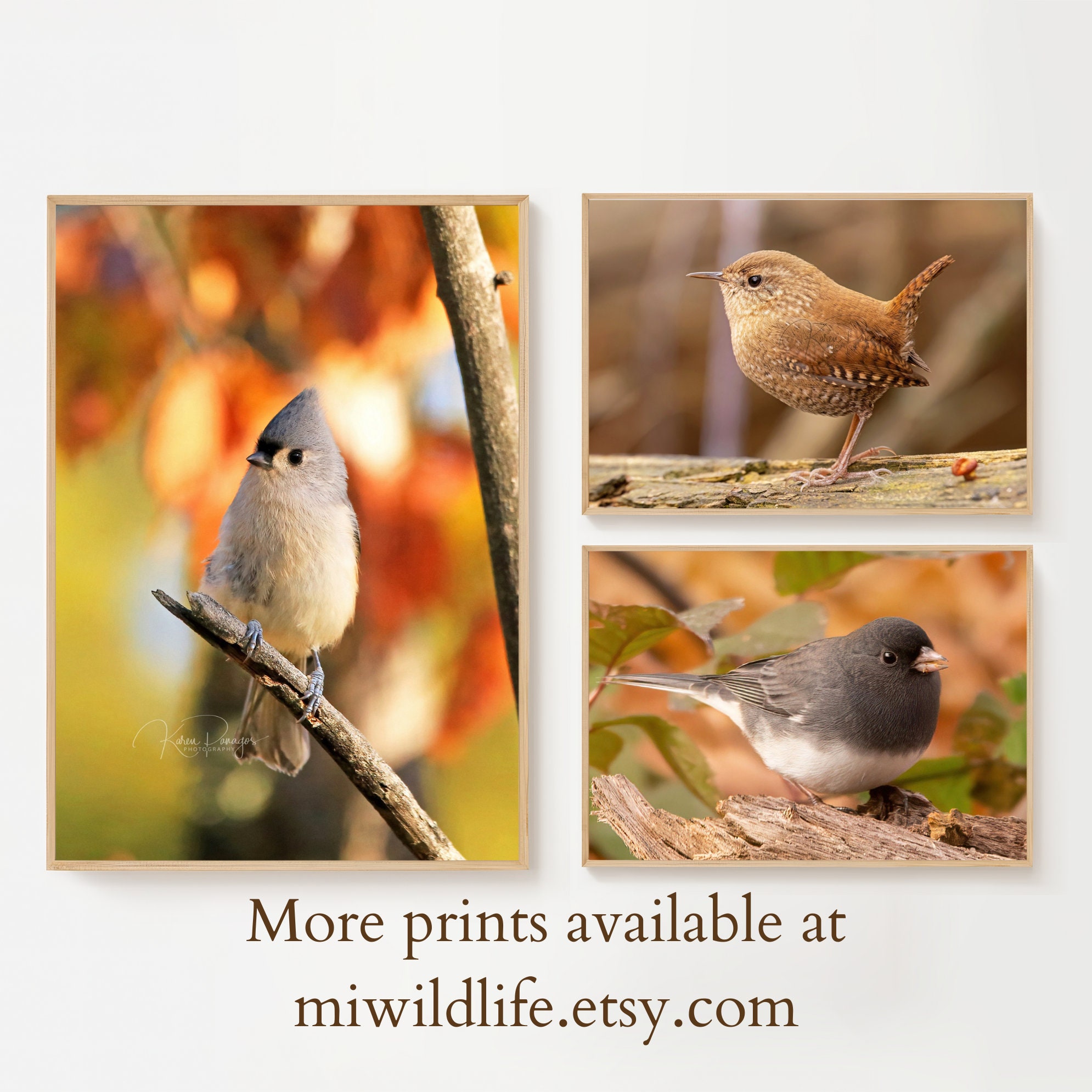 Little Wren Photo, Bird Photography, Winter Wren Print, Nature ...