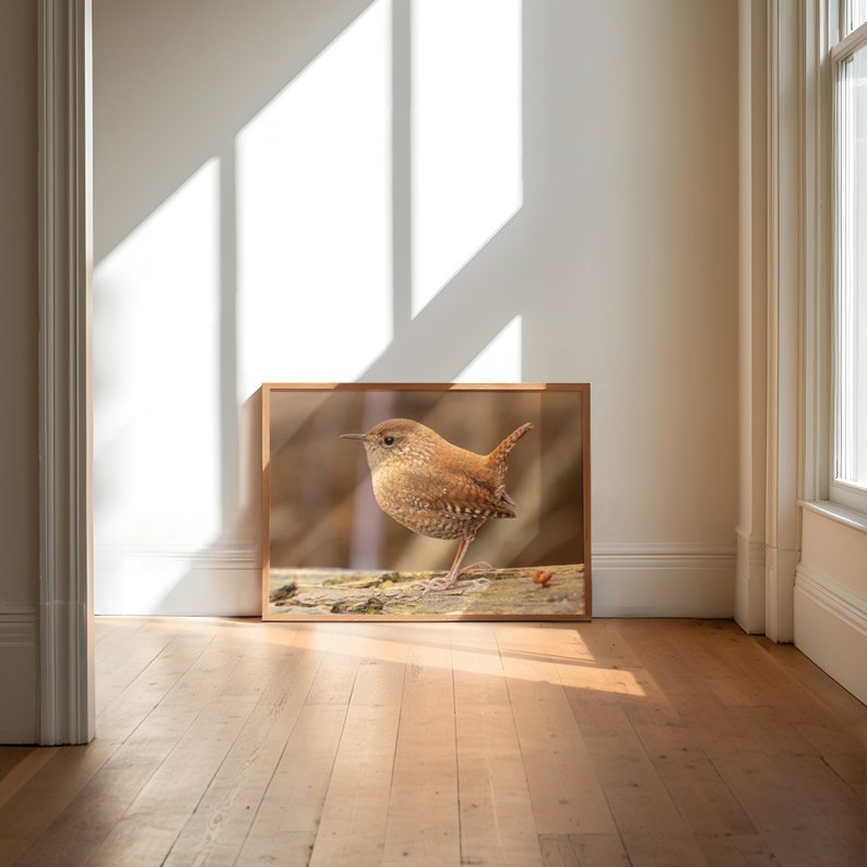 Little Wren Photo, Bird Photography, Winter Wren Print, Nature ...