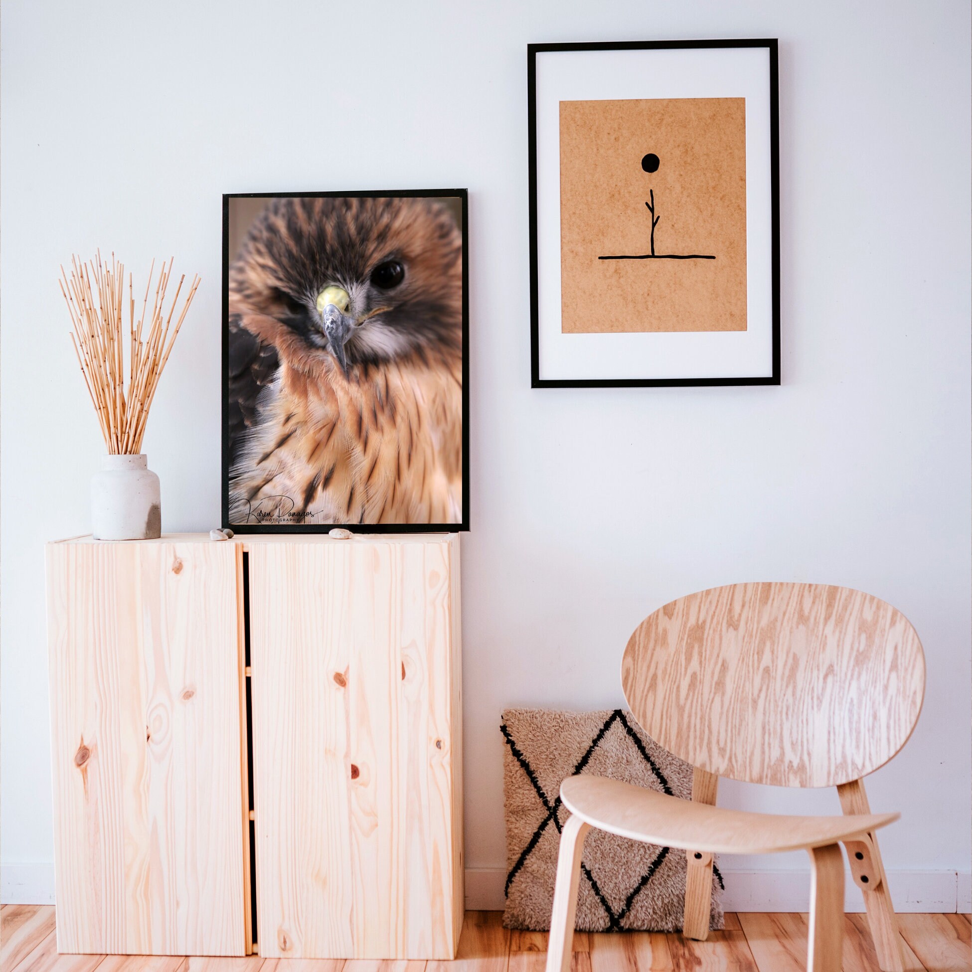 Red-tailed Hawk Photography Print, Bird of Prey Photo, Wildlife Prints ...