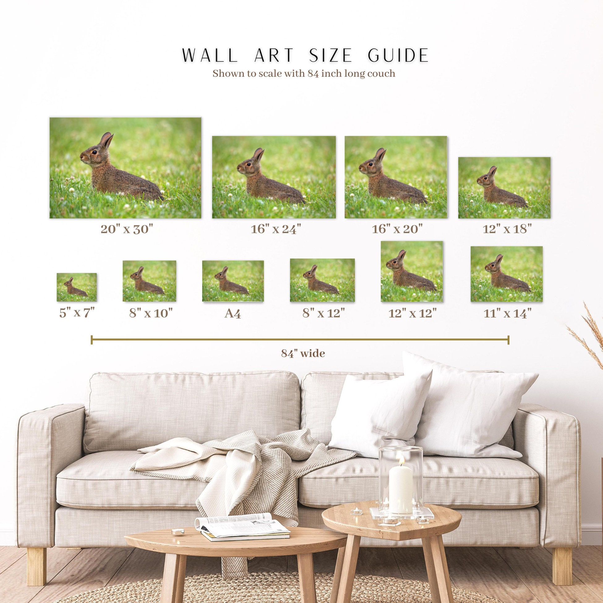 Baby Rabbit Print | Original Wildlife Photography | Woodland Animal Art ...