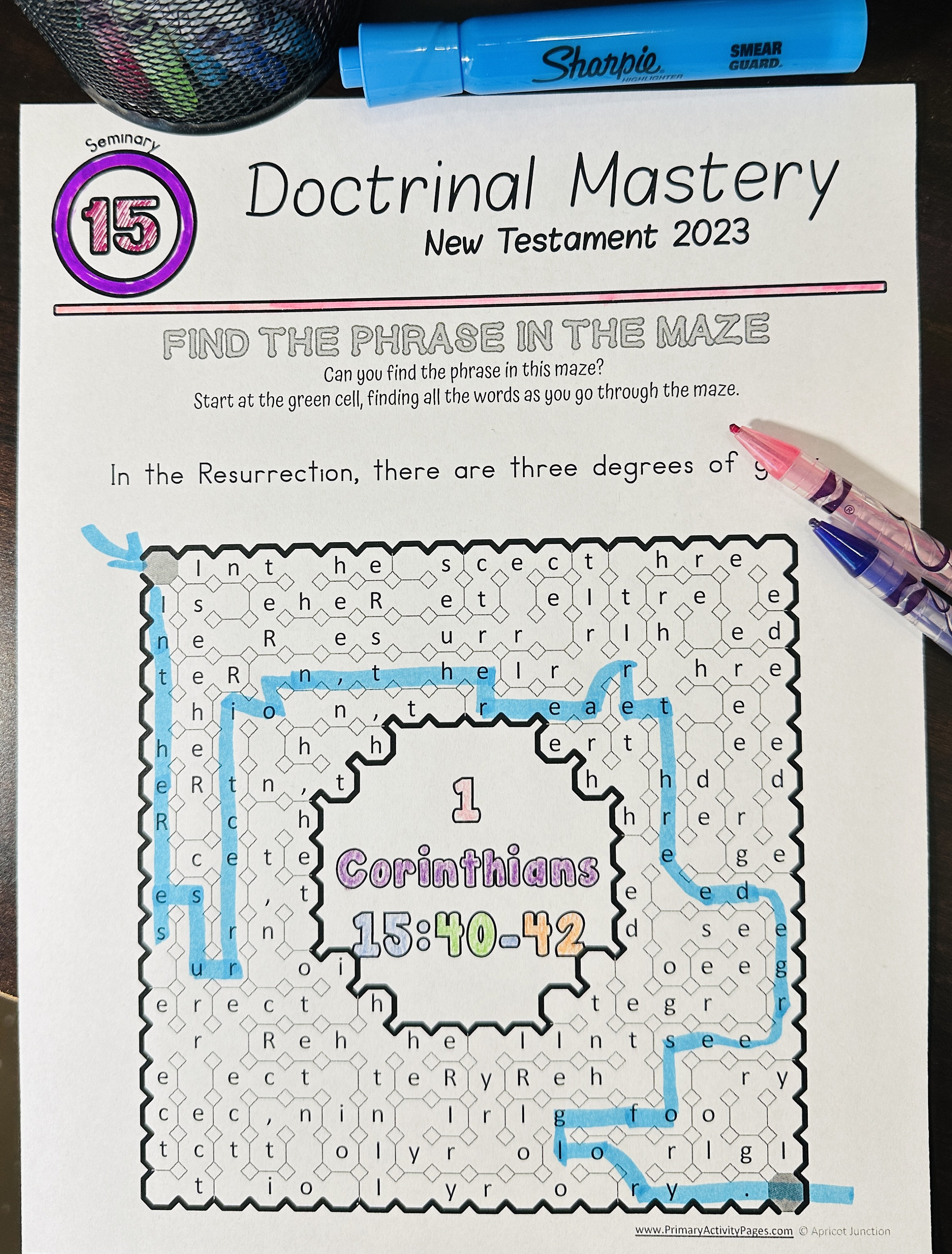 24 MAZES Full Page 2023 Doctrinal Mastery New Testament Printable Learn ...