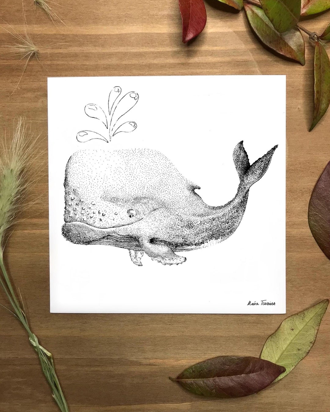 Sperm Whale, Illustration, Ink 15cm X 15cm, White Paper 280g, Indian ...