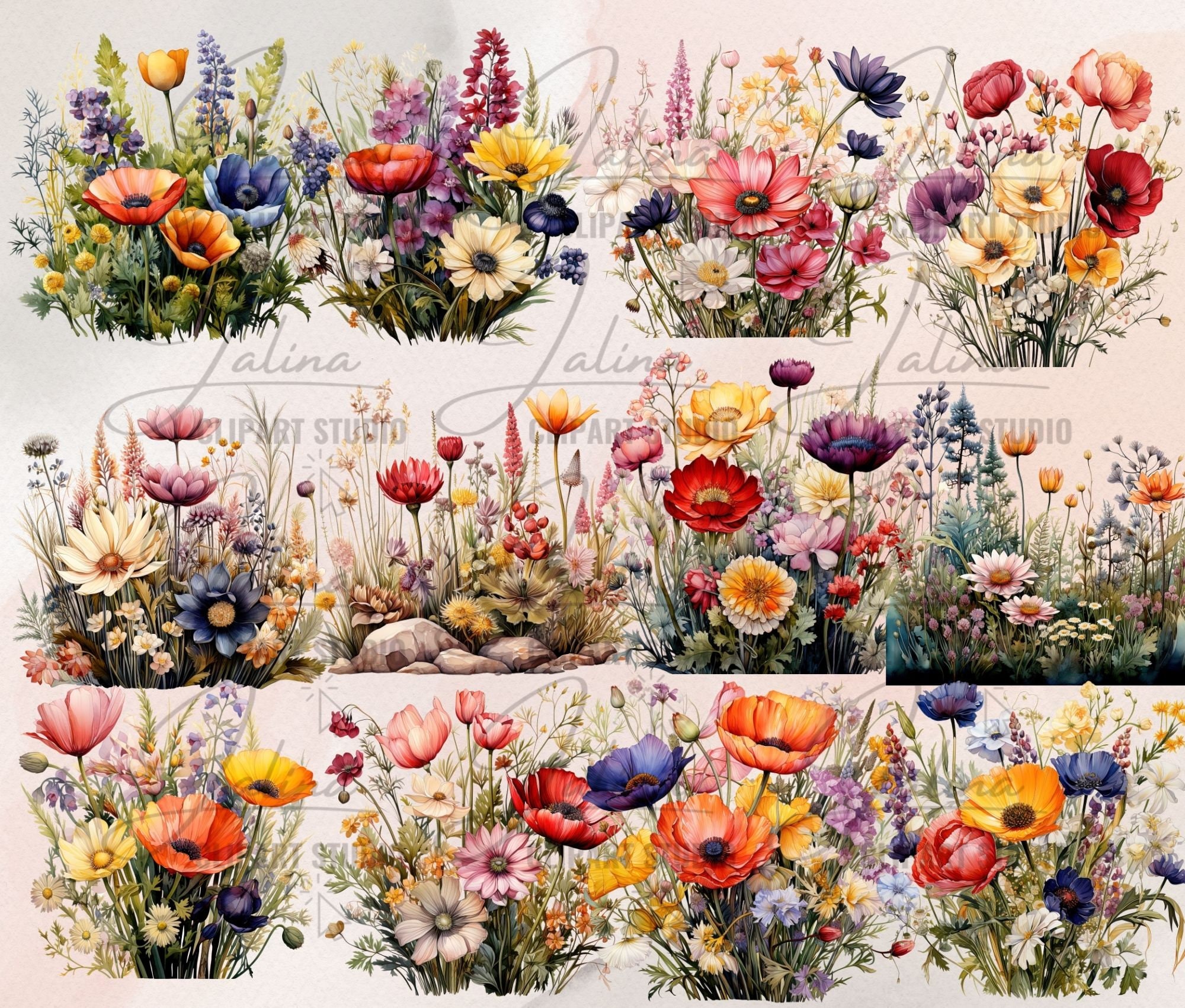 Watercolor Meadow Flowers Clipart Spring Wildflower Floral PNG Instant ...