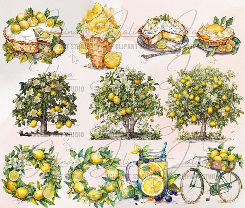 Fresh Citrus Digital Clipart Set Lemon and Lime Fruit Clipart ...
