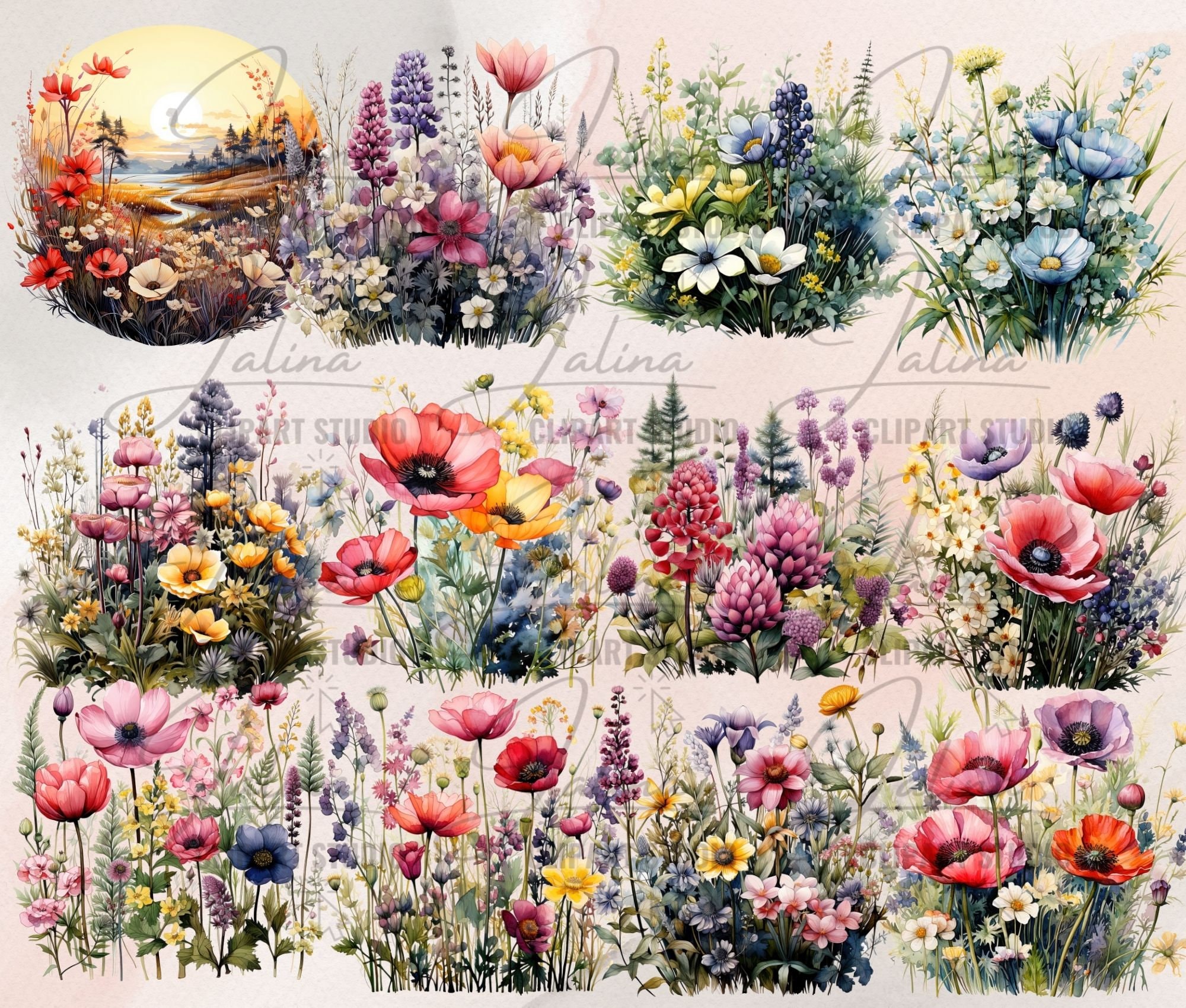 Watercolor Meadow Flowers Clipart Spring Wildflower Floral PNG Instant ...