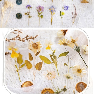 Pressed Flowers Stickers Pack, Floral Stickers, Leaves Stickers ...