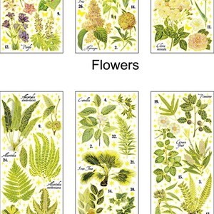 3 Forest Themed Tape Samples, PET Flower Tapes, Plants Tapes, Floral ...