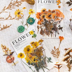 Pressed Flowers Stickers Pack, Floral Stickers, Leaves Stickers ...