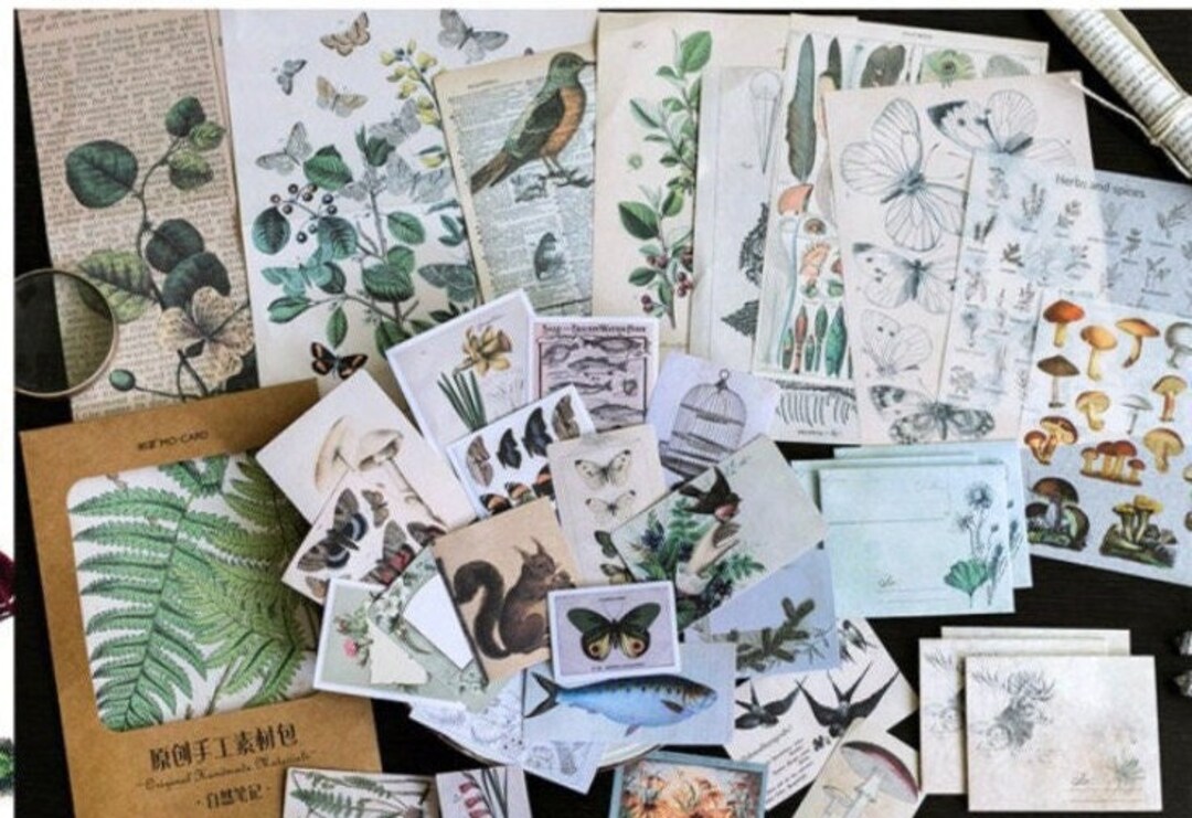 Nature Theme Junk Journal Kit,large Craft Paper Pack,stickers,ephemera ...