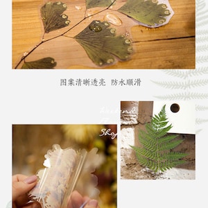 Large Dried Flower Stickers Set, Plants Stickers, Botanical Stickers ...