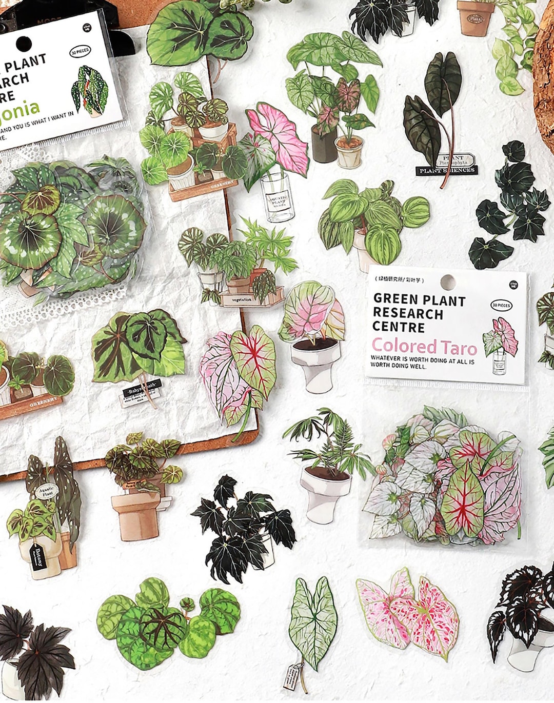 Plants Stickers Pack, Green Plants Stickers 30pcs, Journal Stickers ...