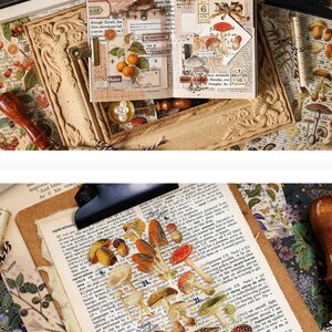 3 Forest Themed Tape Samples, PET Flower Tapes, Plants Tapes, Floral ...