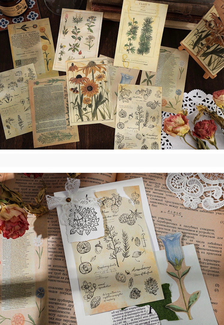 60pcs Vintage Inspired Ephemera, Scrapbook Paper, Deco Paper Pack ...