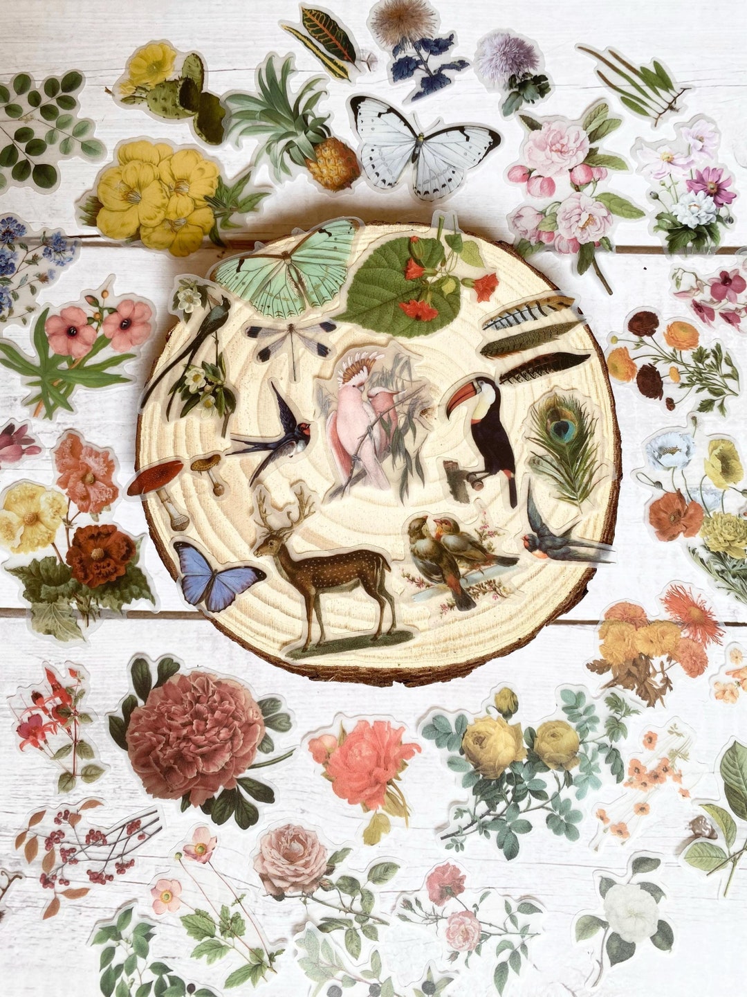 60 Forest Stickers, Flowers Stickers Pack, Plants Stickers, Animals ...