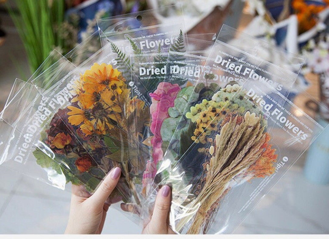Large Dried Flower Stickers Set, Plants Stickers, Botanical Stickers ...