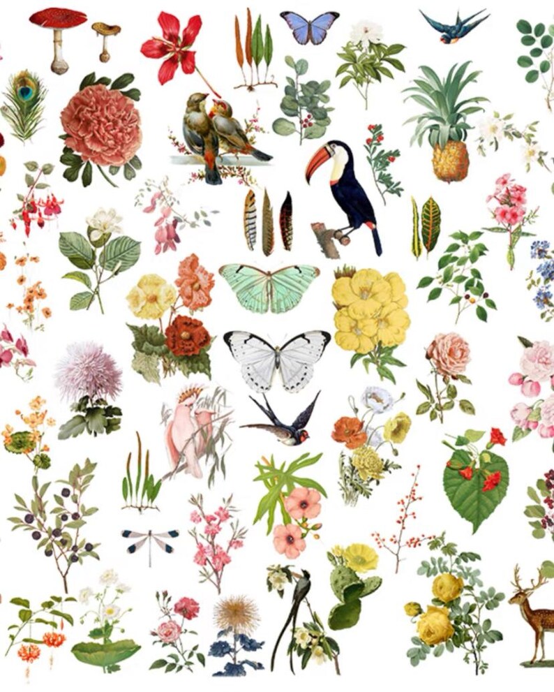 60 Forest Stickers, Flowers Stickers Pack, Plants Stickers, Animals ...