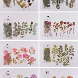 Large Dried Flower Stickers Set, Plants Stickers, Botanical Stickers ...