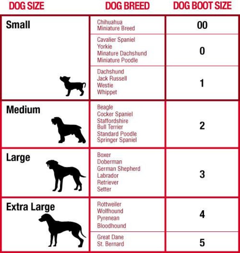 MIKKI Dog Boot | Hygiene Protective Dog Boot | Helps Keep Injured Paws ...