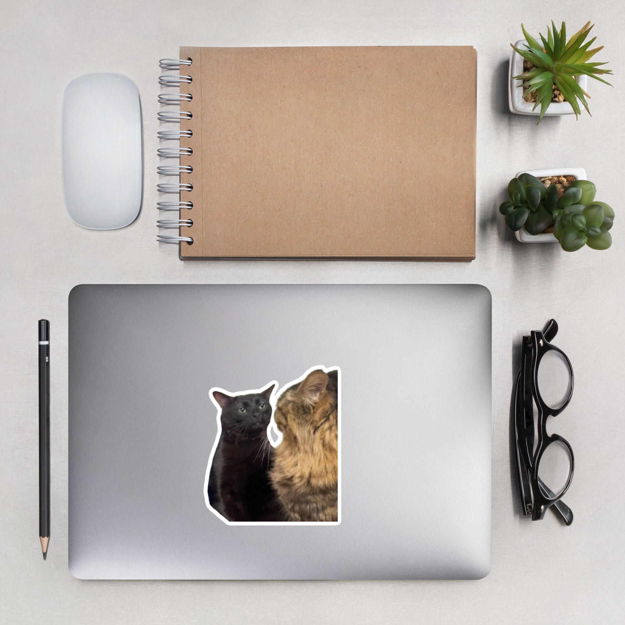 Zoning Out Cat Meme Sticker Decal Vinyl Cats Kitty Durable Joke Easy to ...