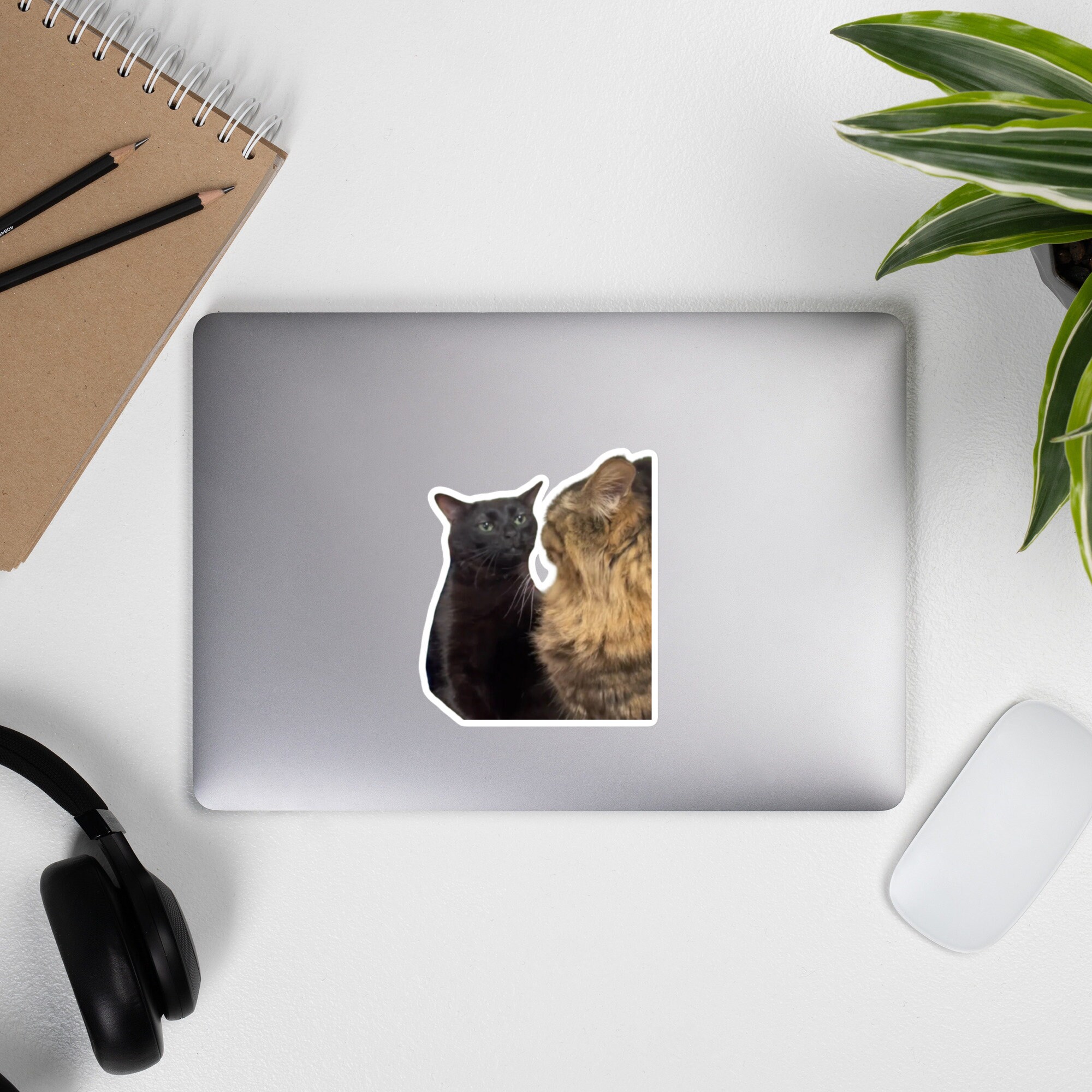 Zoning Out Cat Meme Sticker Decal Vinyl Cats Kitty Durable Joke Easy to ...