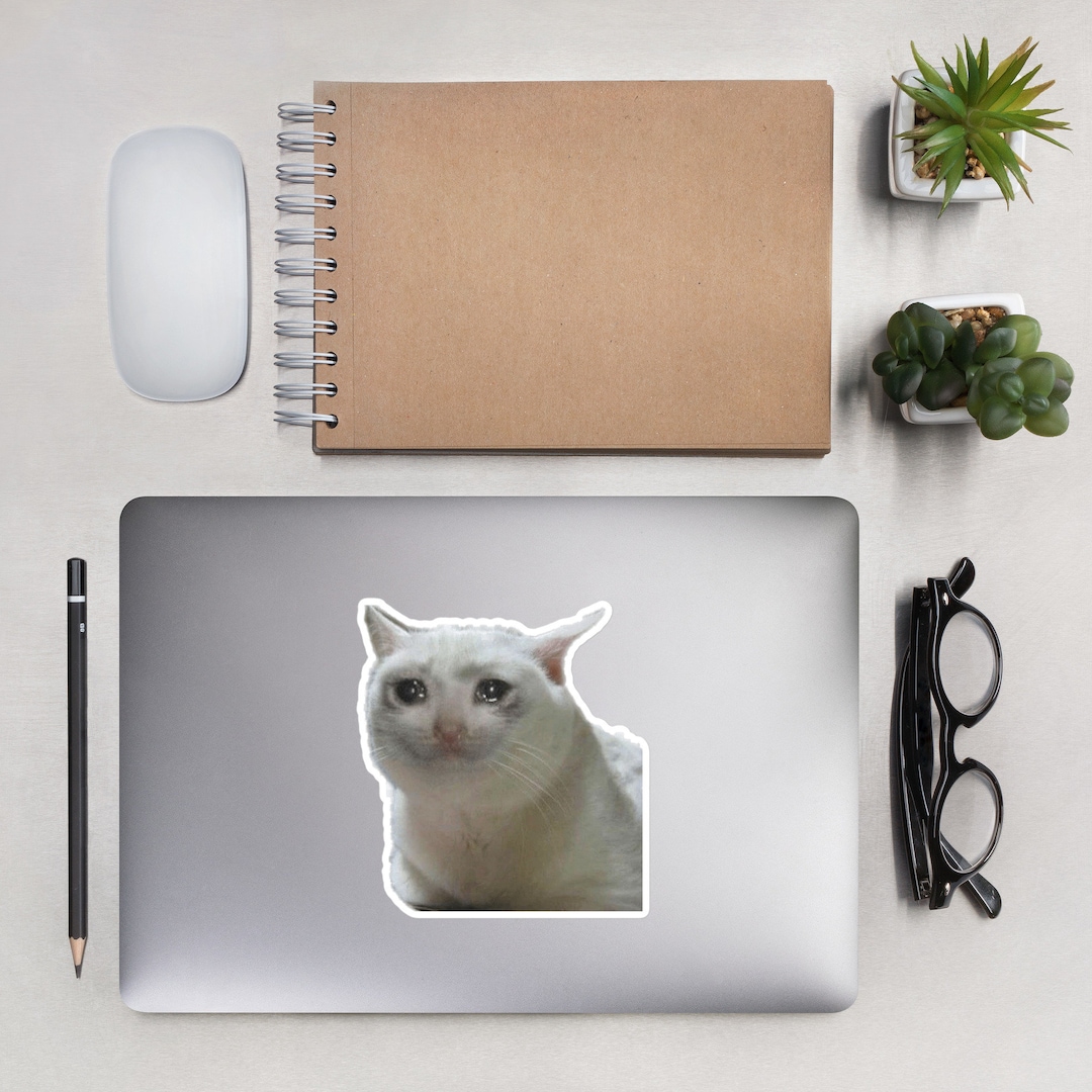 Crying Cat Meme Sticker Vinyl Decal Kitty for Cars Laptop Notebook - Etsy