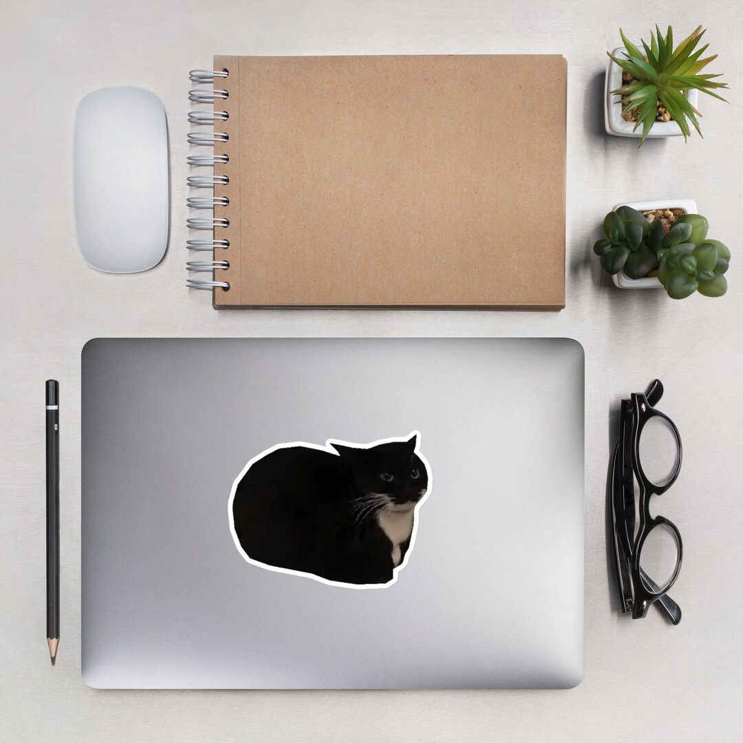 Spinning Cat Maxwell Dingus Sticker Decal Vinyl Meme Cats Kitty Durable ...