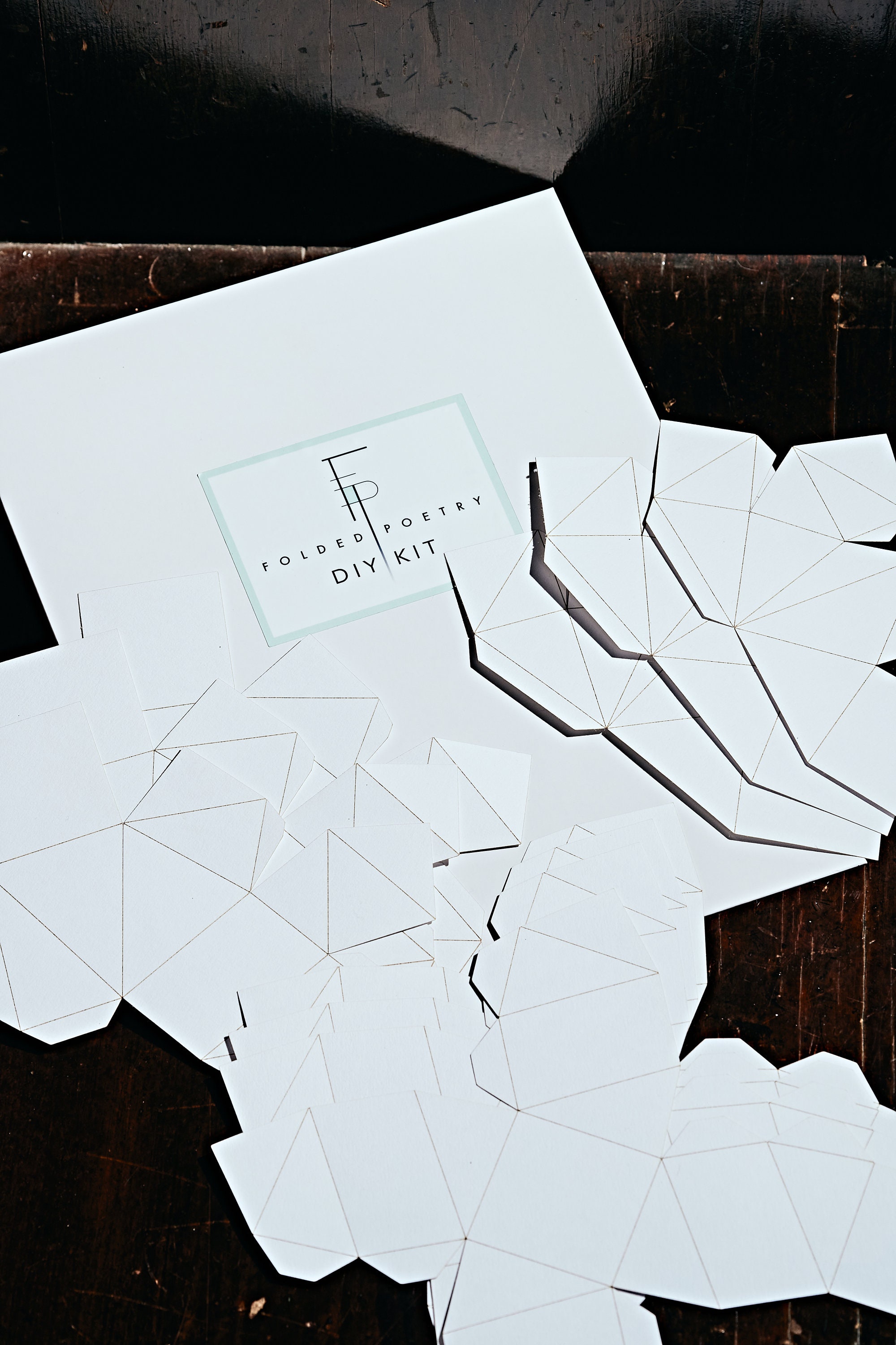 DIY Sculpture Kit - Etsy