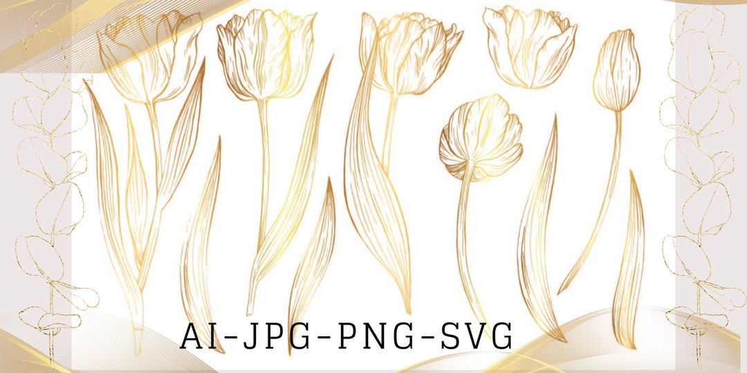 Tulip Line Art Illustrations, Tulip Line Art, Flower Line Art, Tulips ...