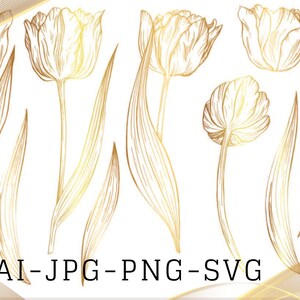 Tulip Line Art Illustrations, Tulip Line Art, Flower Line Art, Tulips ...