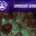Luminescent Cavern [ VTT Battle Map ] - Etsy