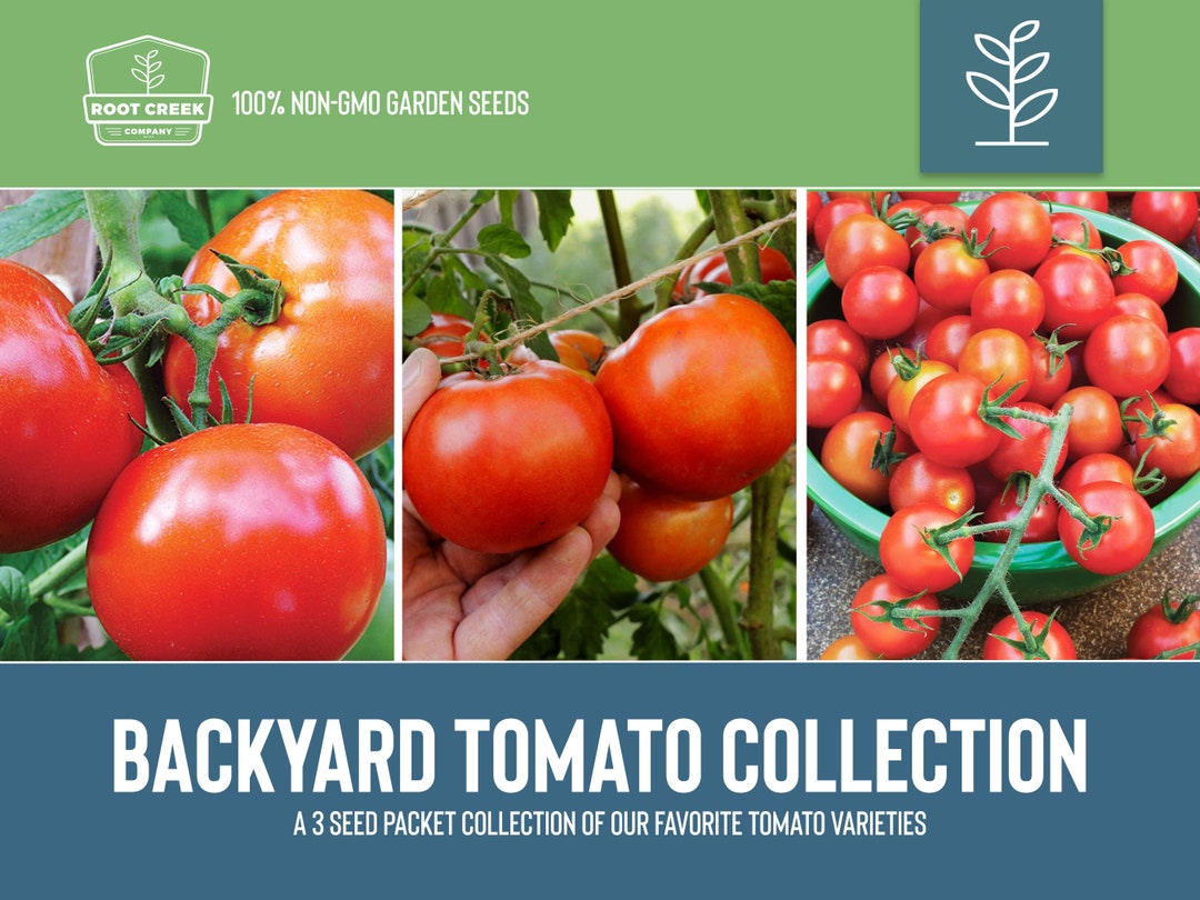 Backyard Tomato Collection Garden Tomato Seeds Non-gmo 3 - Etsy