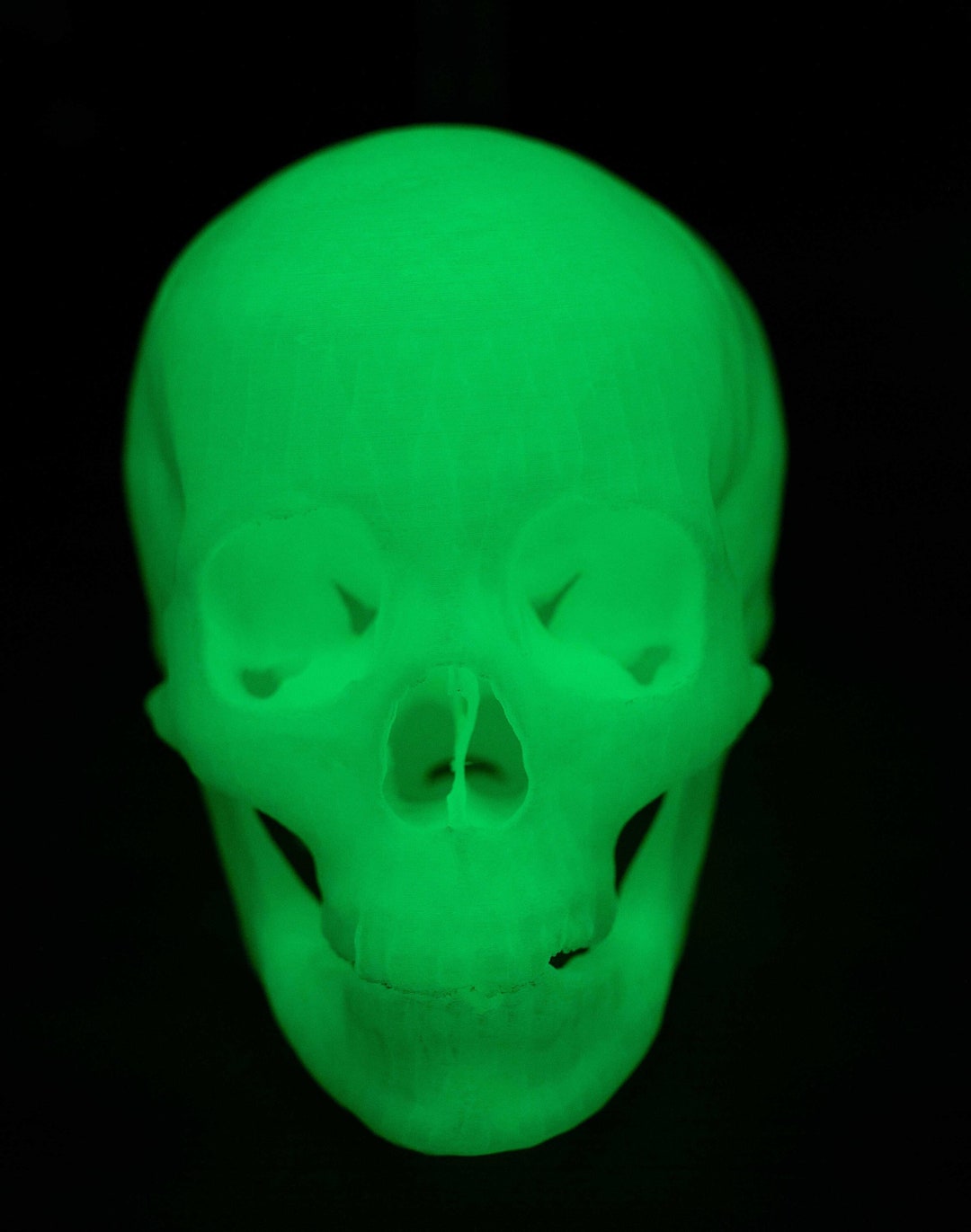 Glow in the Dark Full Size 3D Printed Human Skull - Etsy