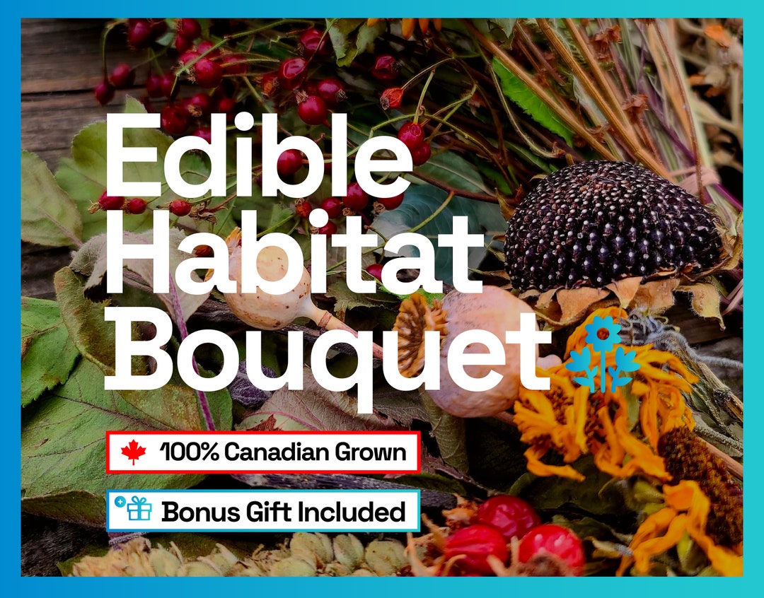 Organic Edible Habitat Bouquet | 100% CANADIAN GROWN - Etsy