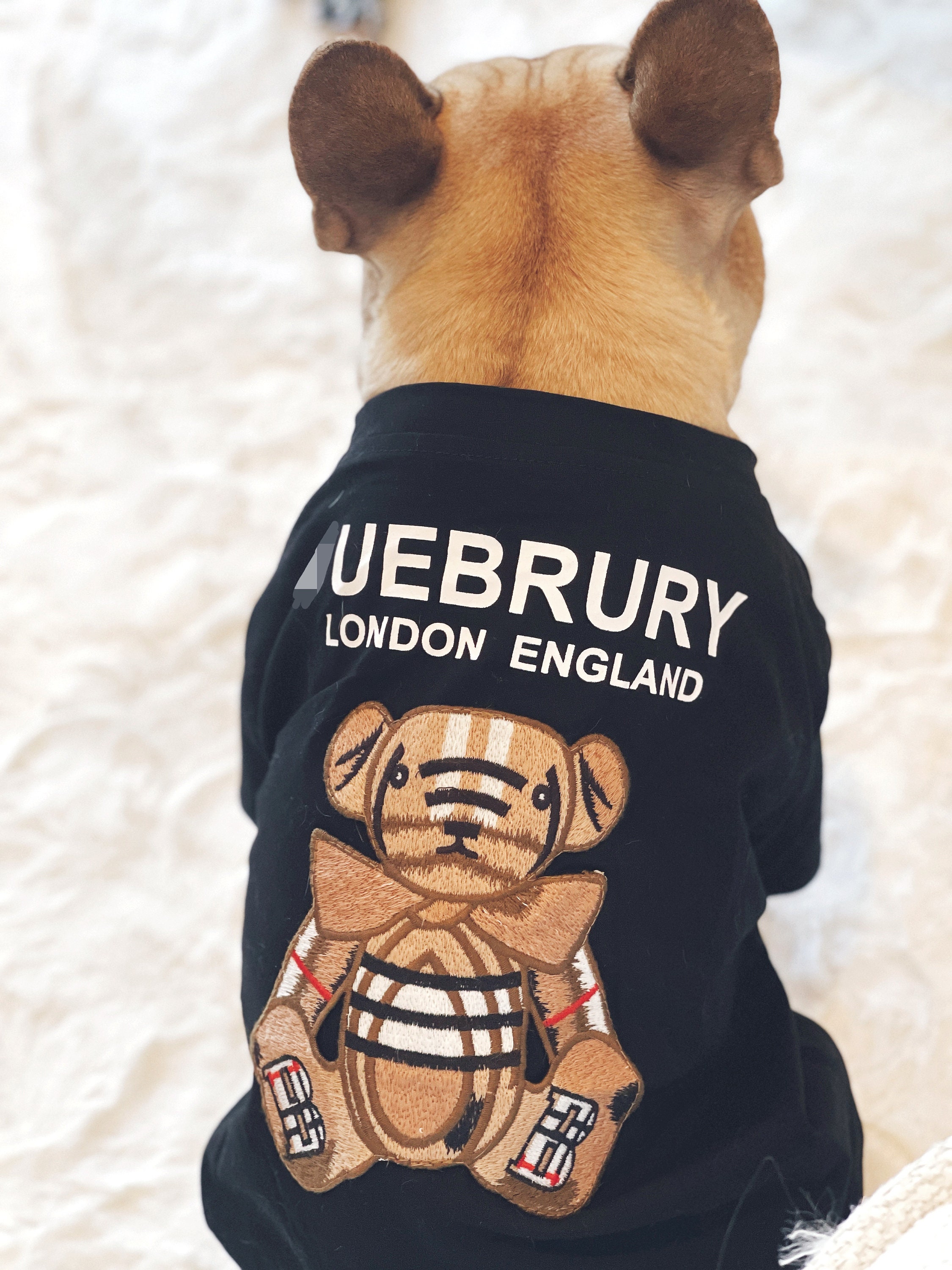 Burberry Dog Outfits