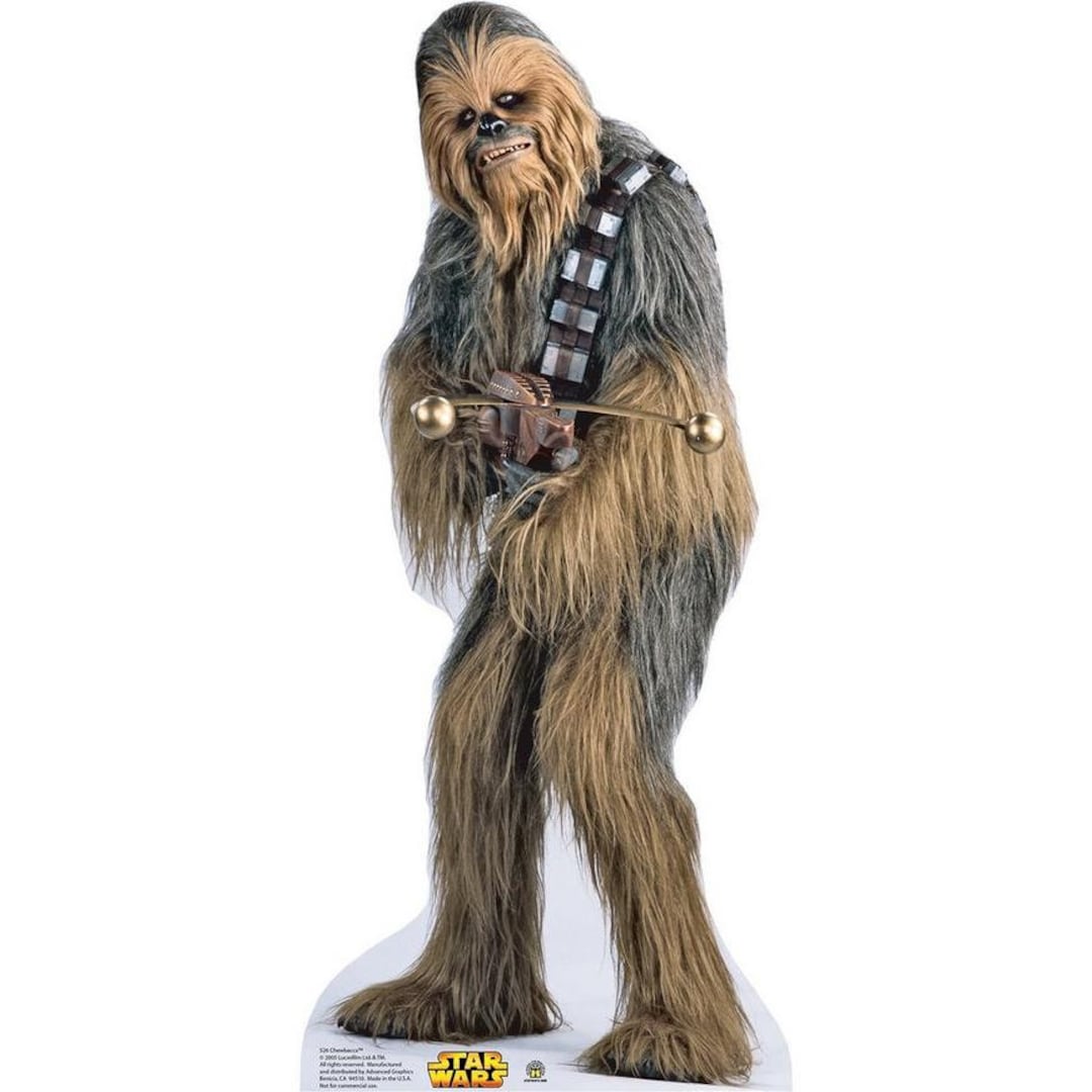 Custom Life Size Coroplast Cutouts of Any Photograph, Personalized Full ...