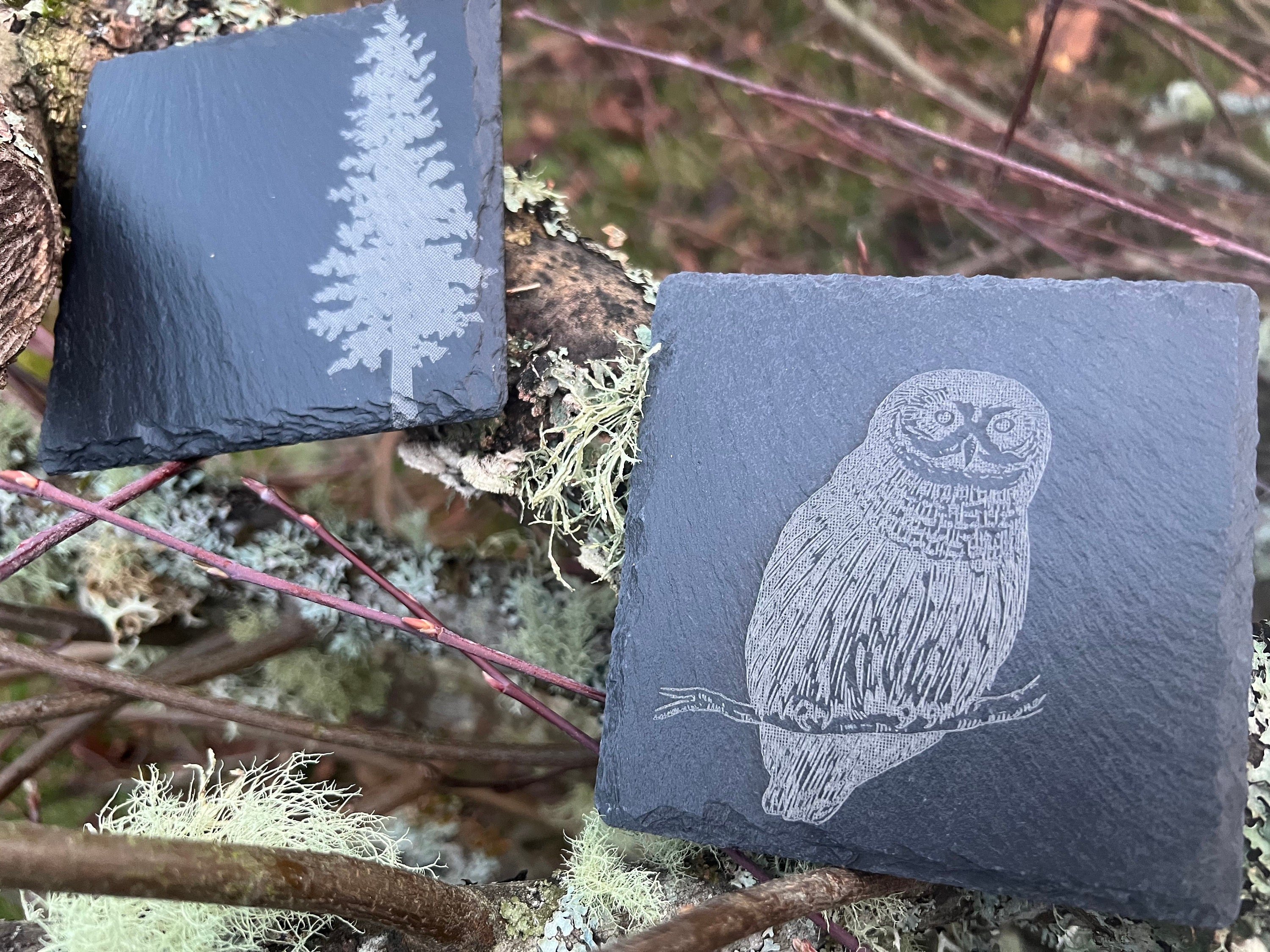 PNW Themed Slate Coasters- New Designs! - Etsy