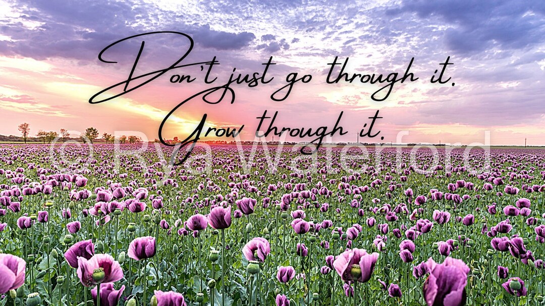 Grow Through It - Computer Wallpaper - Etsy